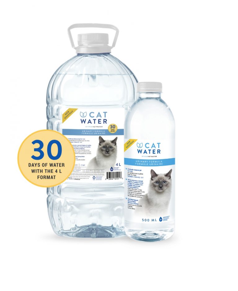 Cat Water – Water for Cat